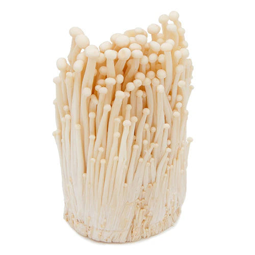 Mushrooms Enoki 100g Bag - Not Organic – Rita's Farm Produce