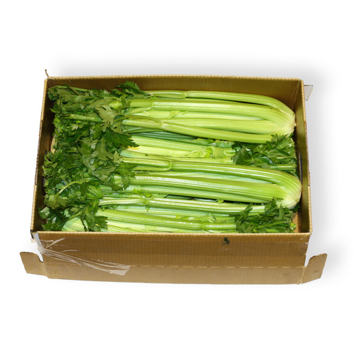 Celery [Bulk Box] - Certified Organic – Rita's Farm Produce