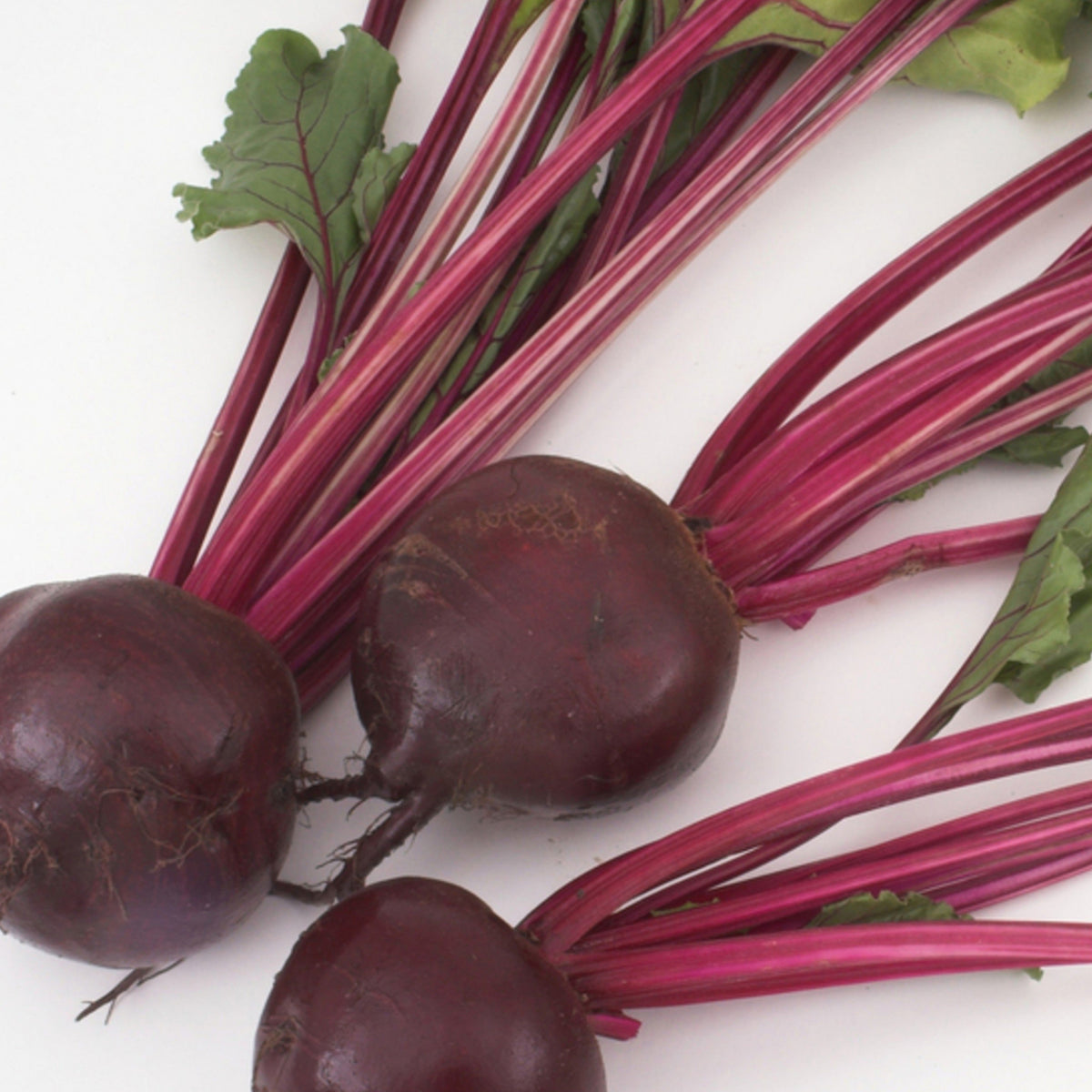 Beetroot [Bunch] - Organically Grown – Rita's Farm Produce