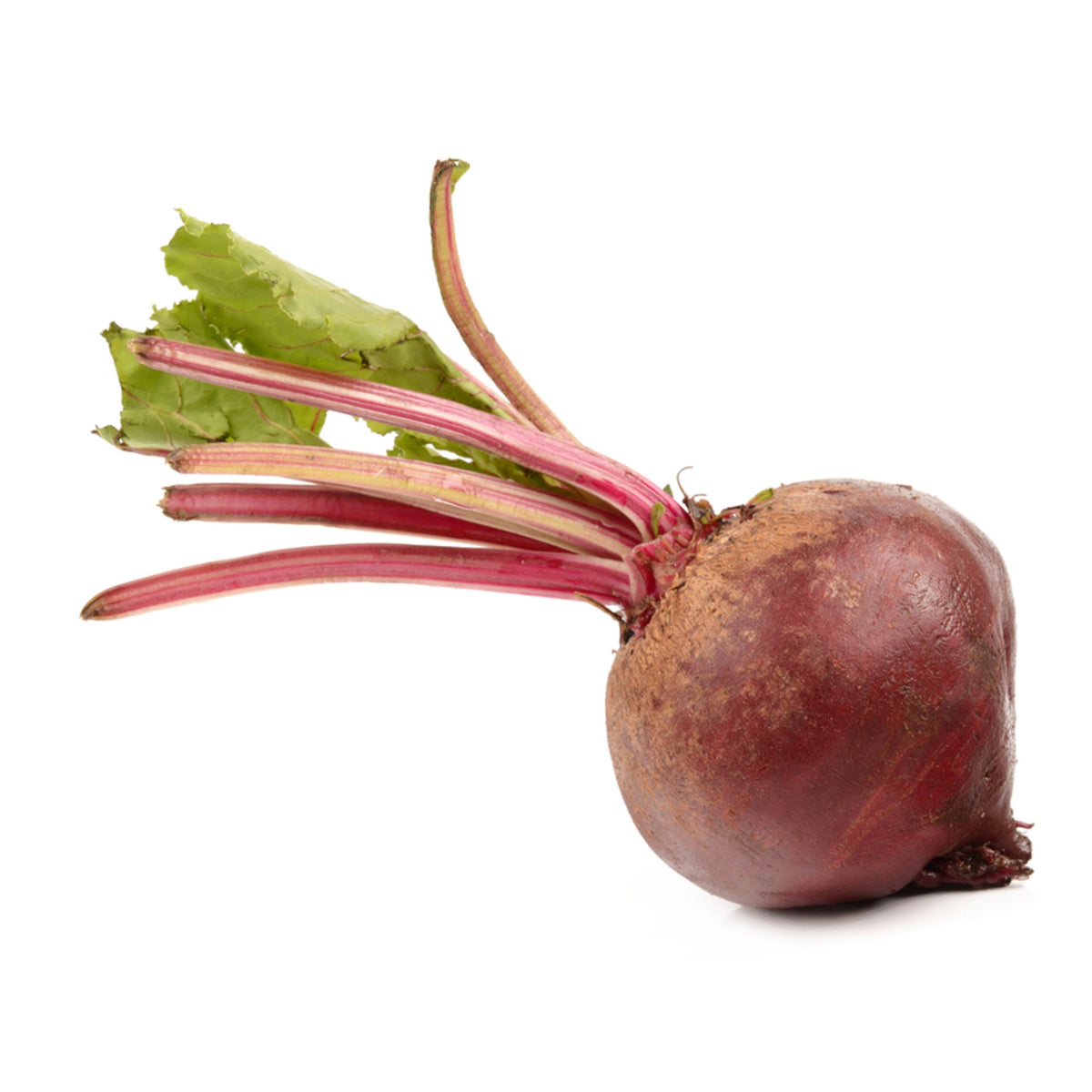 Beetroot [kg] - Certified Organic – Rita's Farm Produce