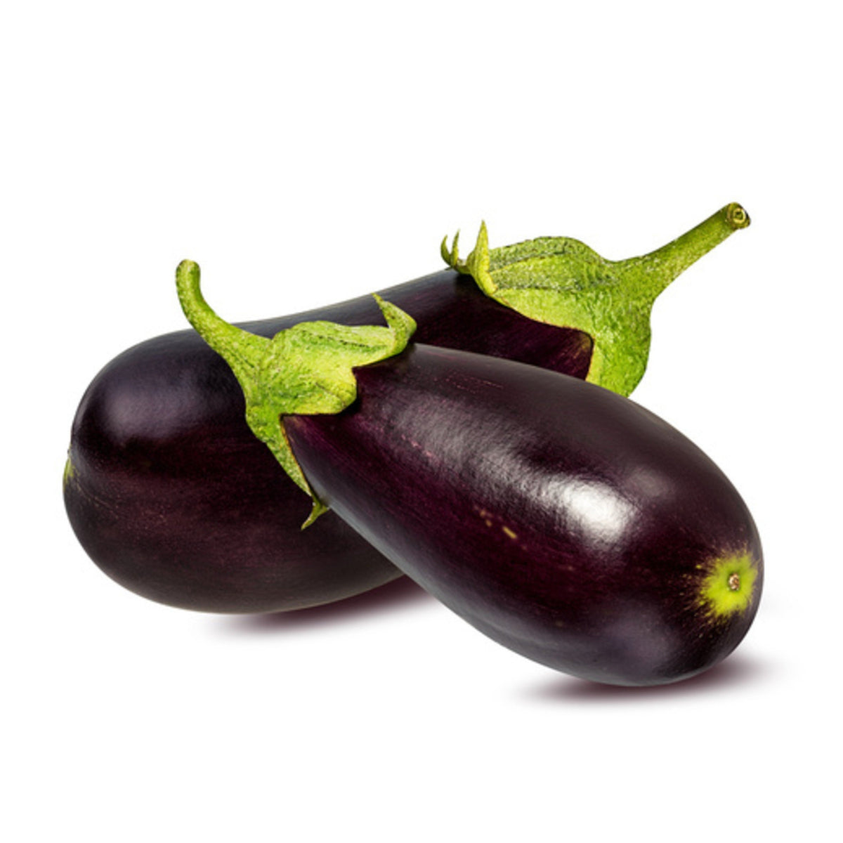 Eggplant [kilo] - Organically Grown – Rita's Farm Produce