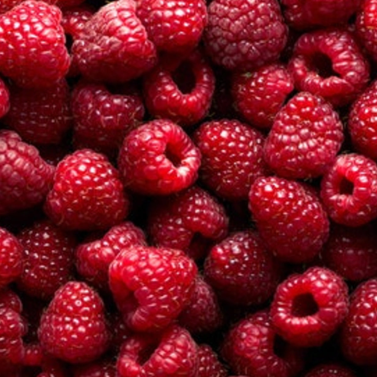 Raspberry Punnet – Rita's Farm Produce