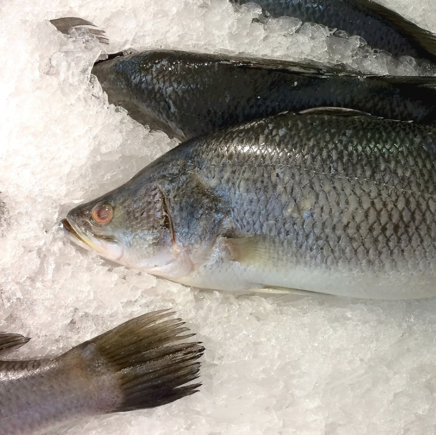 Baby Barramundi Whole (Aus) Fresh - 400g – Rita's Farm Produce