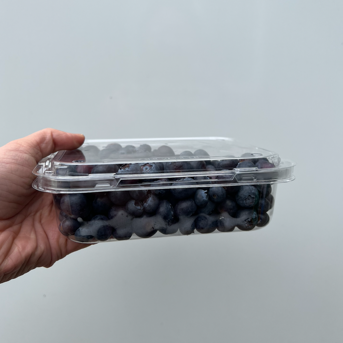 Big Punnet Blueberries – Rita's Farm Produce