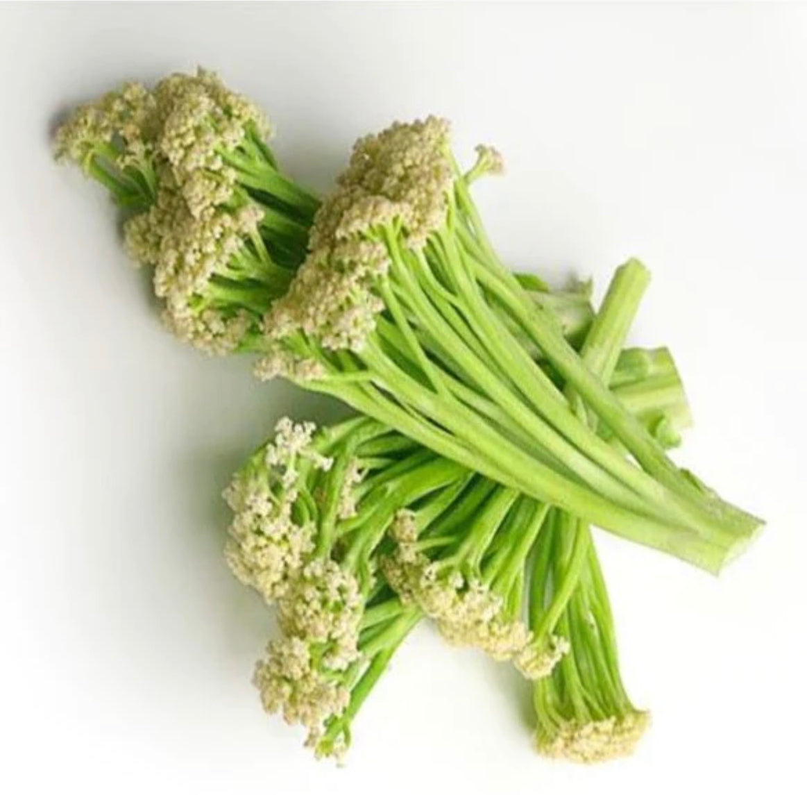 Caulini Fioretto Cauliflower (Each)- Organically Grown – Rita's Farm ...