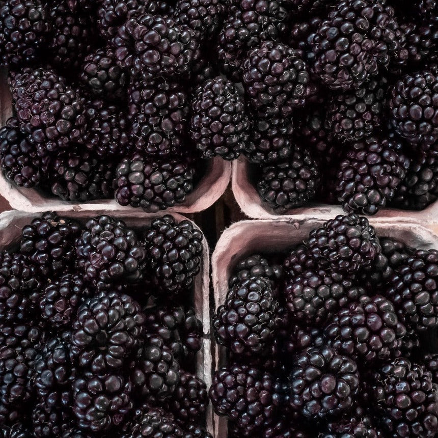 Blackberries [punnet] – Rita's Farm Produce